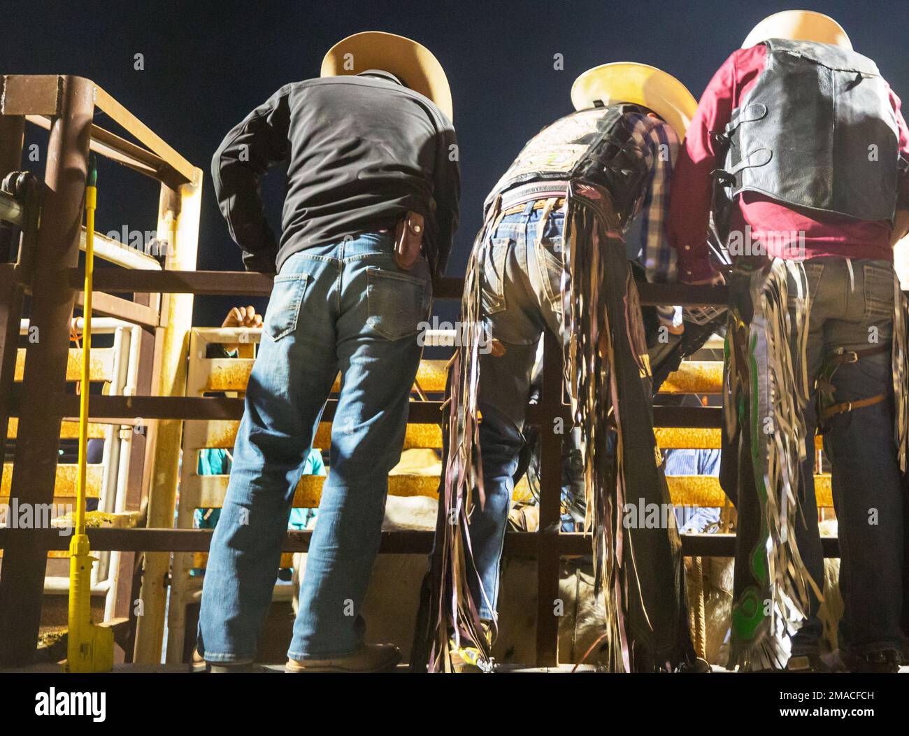 Gauchos in the night rodeo, Mexico Stock Photo - Alamy