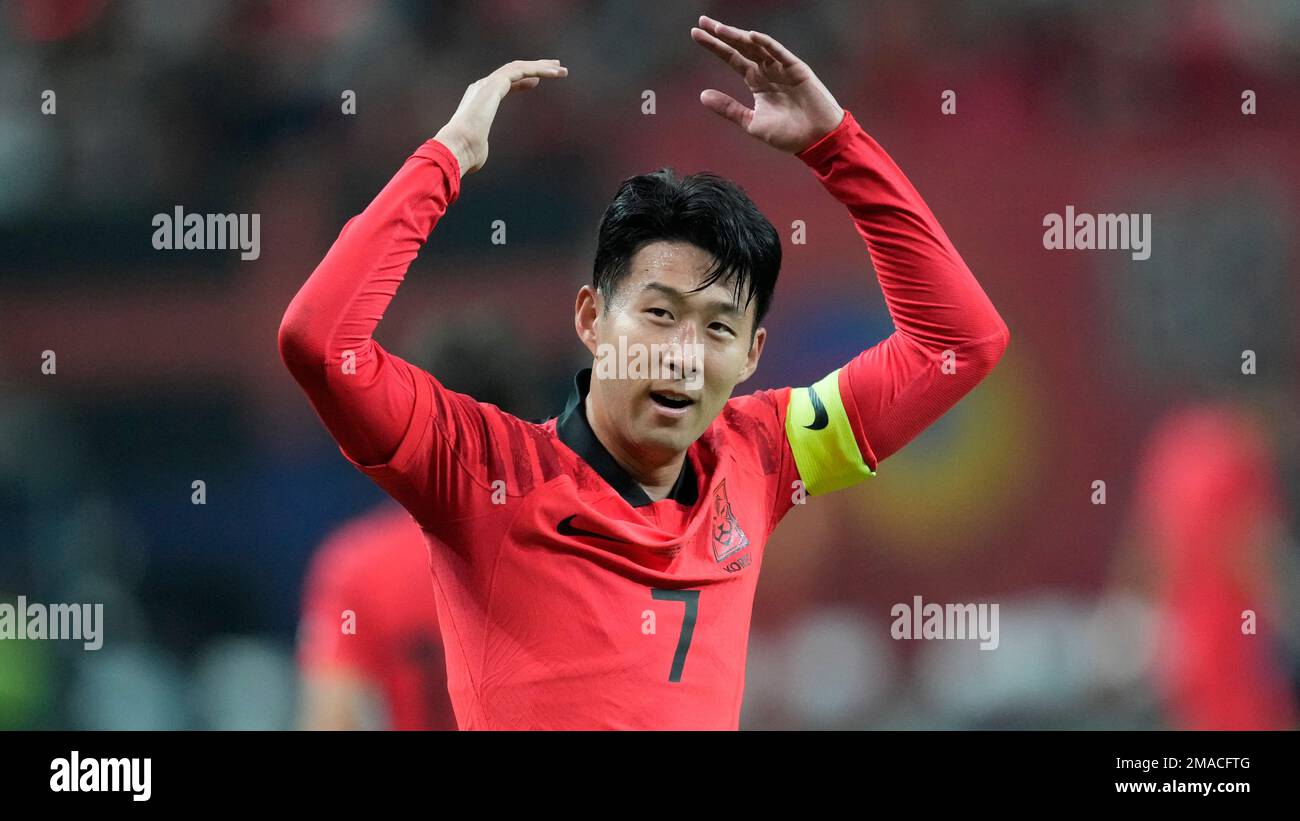 South Korea's Son Heung-min celebrates after scoring his side's opening ...