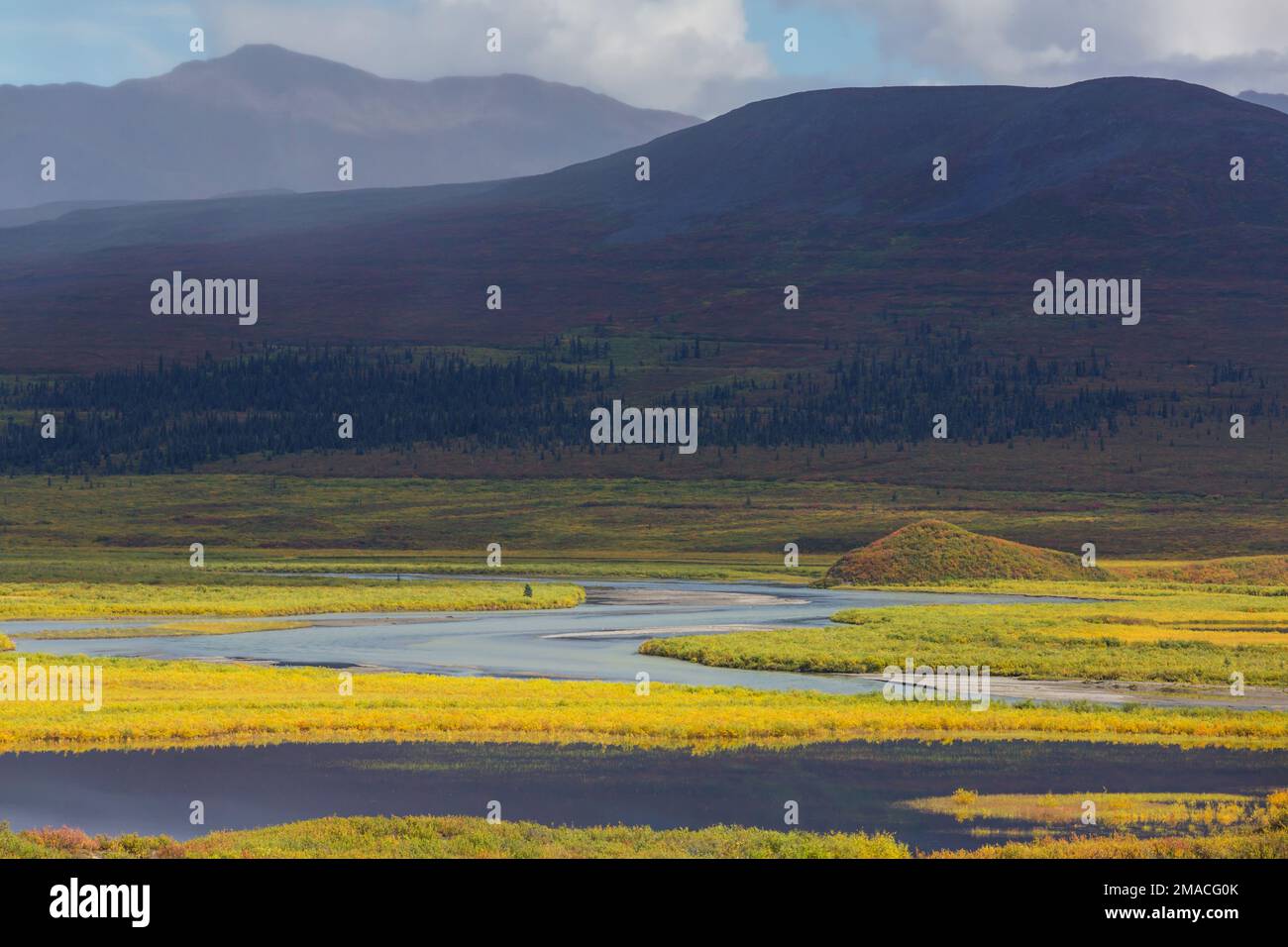 Tundra landscapes above Arctic circle Stock Photo - Alamy