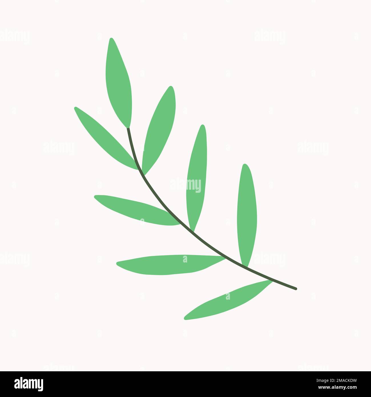Hand drawn vector olive branch. White background. Isolated Stock Vector ...