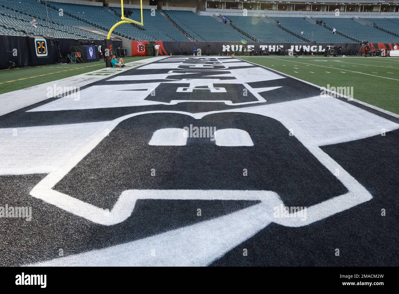 A general view of the Cincinnati Bengals end zone painted white before ...