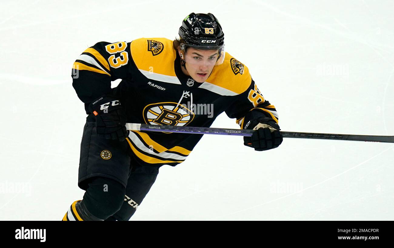 Boston Bruins forward Luke Toporowski during a preseason NHL hockey ...