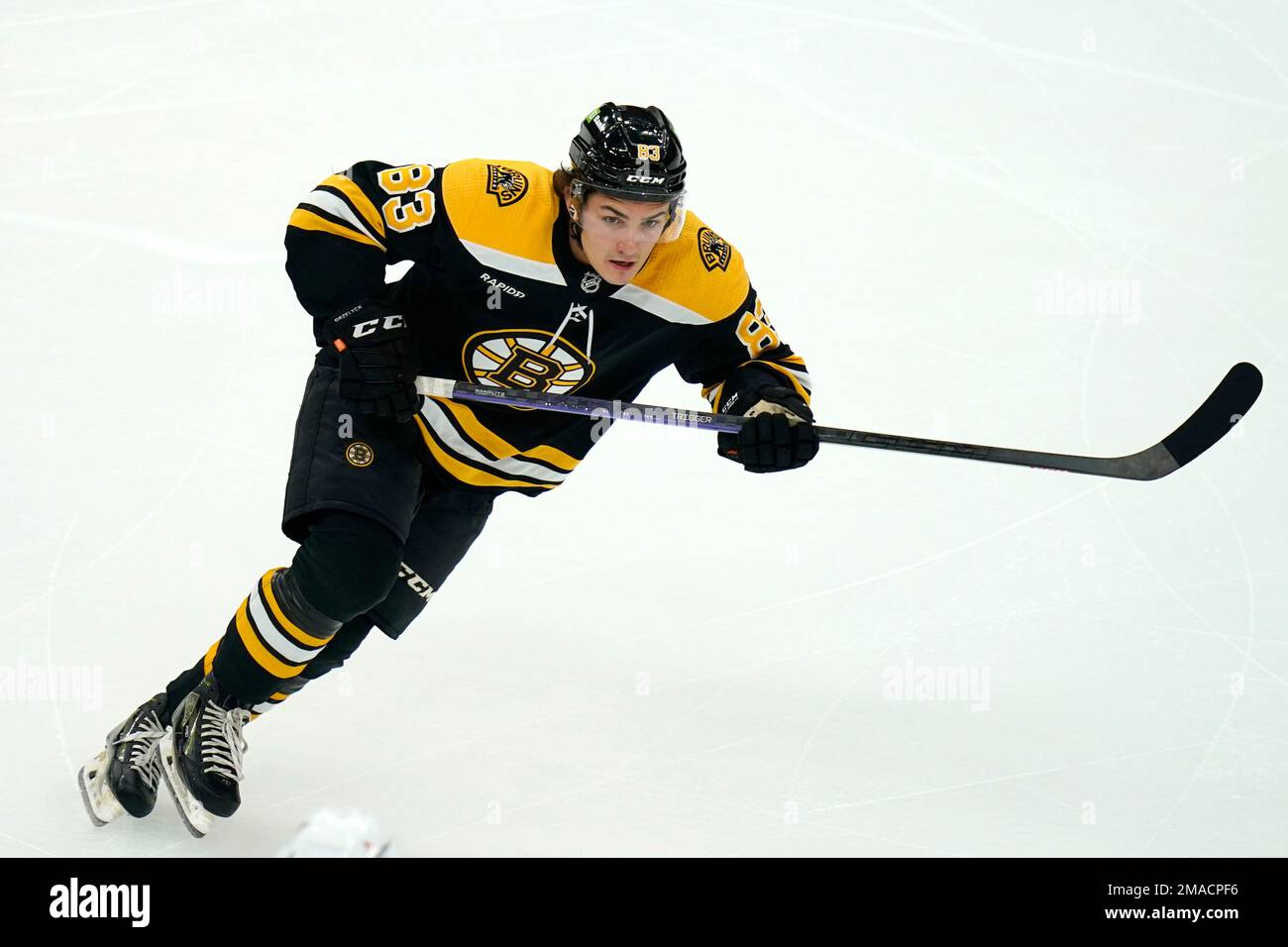 Boston Bruins forward Luke Toporowski during a preseason NHL hockey ...