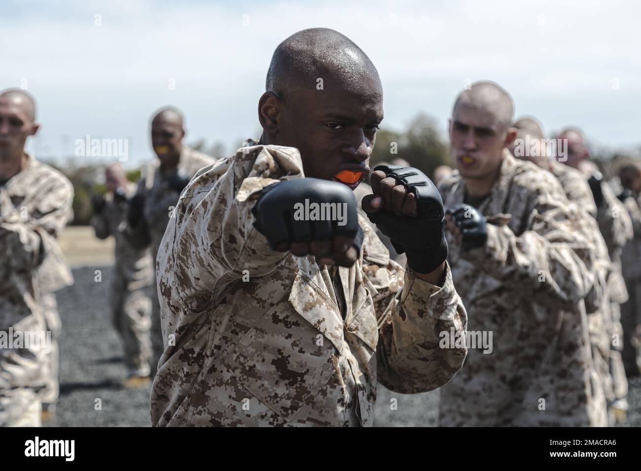 Technique mcmap hi-res stock photography and images - Alamy