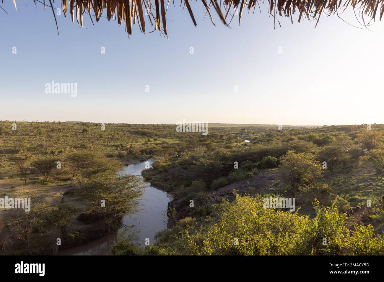 View of Masai Mara from hut Stock Photo - Alamy