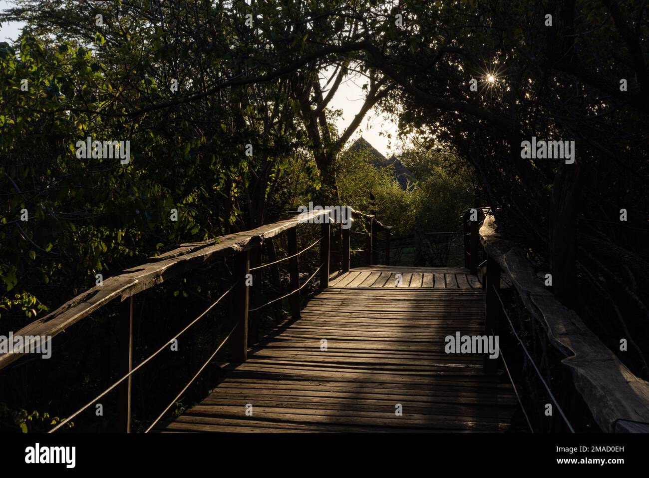 Eco hope hi-res stock photography and images - Alamy