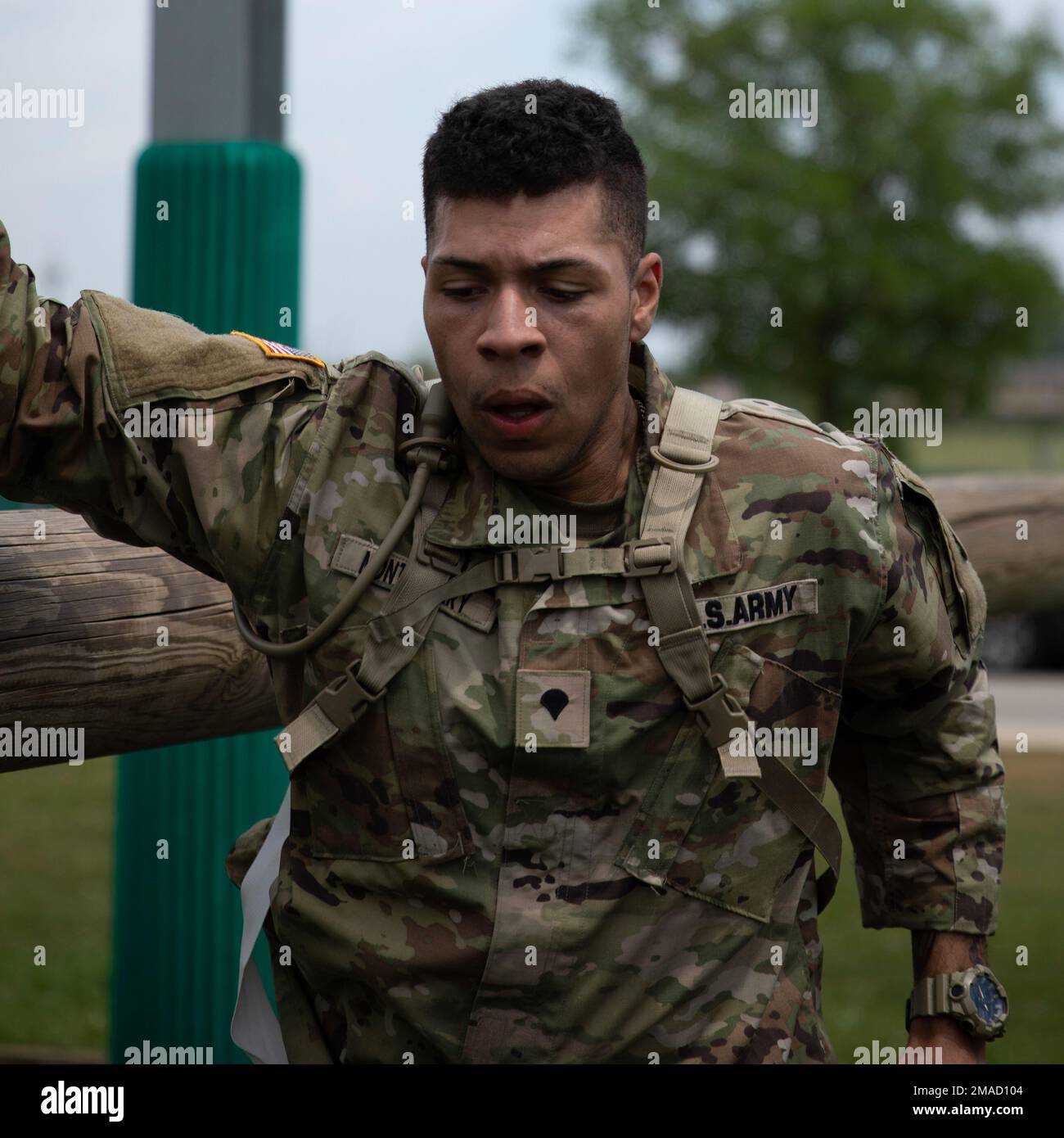 Setafbest hi-res stock photography and images - Alamy