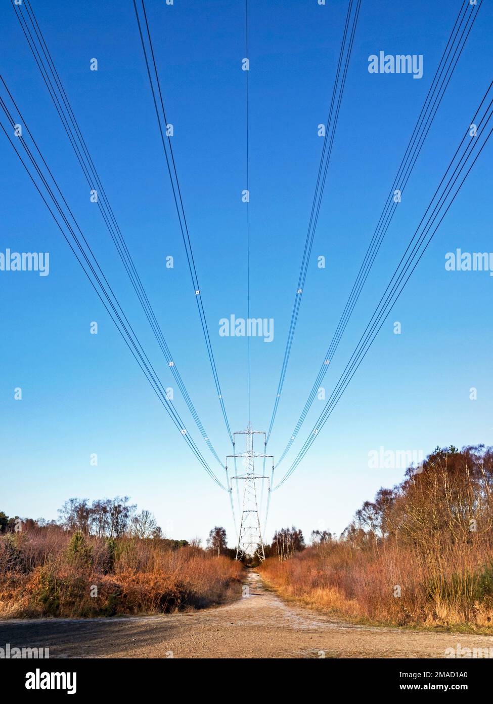 Trail following a line of overhead electricity cables Stock Photo - Alamy