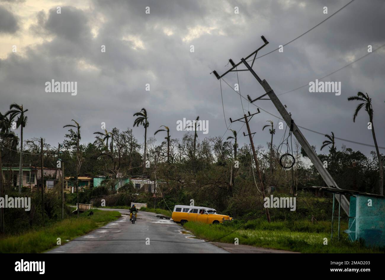 A classic American car drives past utility poles tilted by Hurricane ...