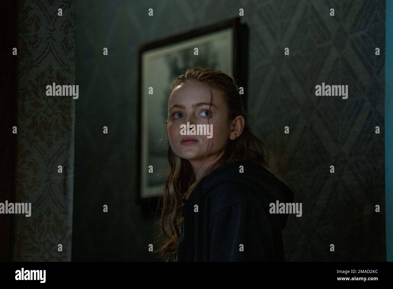 THE WHALE (2022) SADIE SINK DARREN ARONOFSKY (DIR) A24/MOVIESTORE ...