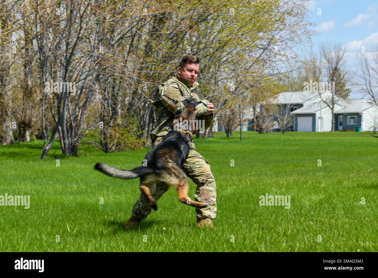 K9 handler training school hi-res stock photography and images - Alamy