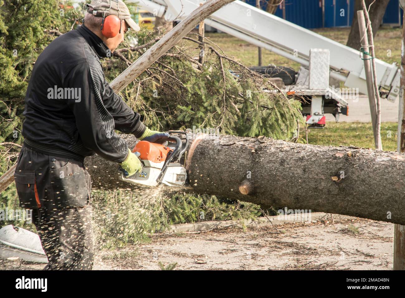 Downed lumber hi-res stock photography and images - Alamy