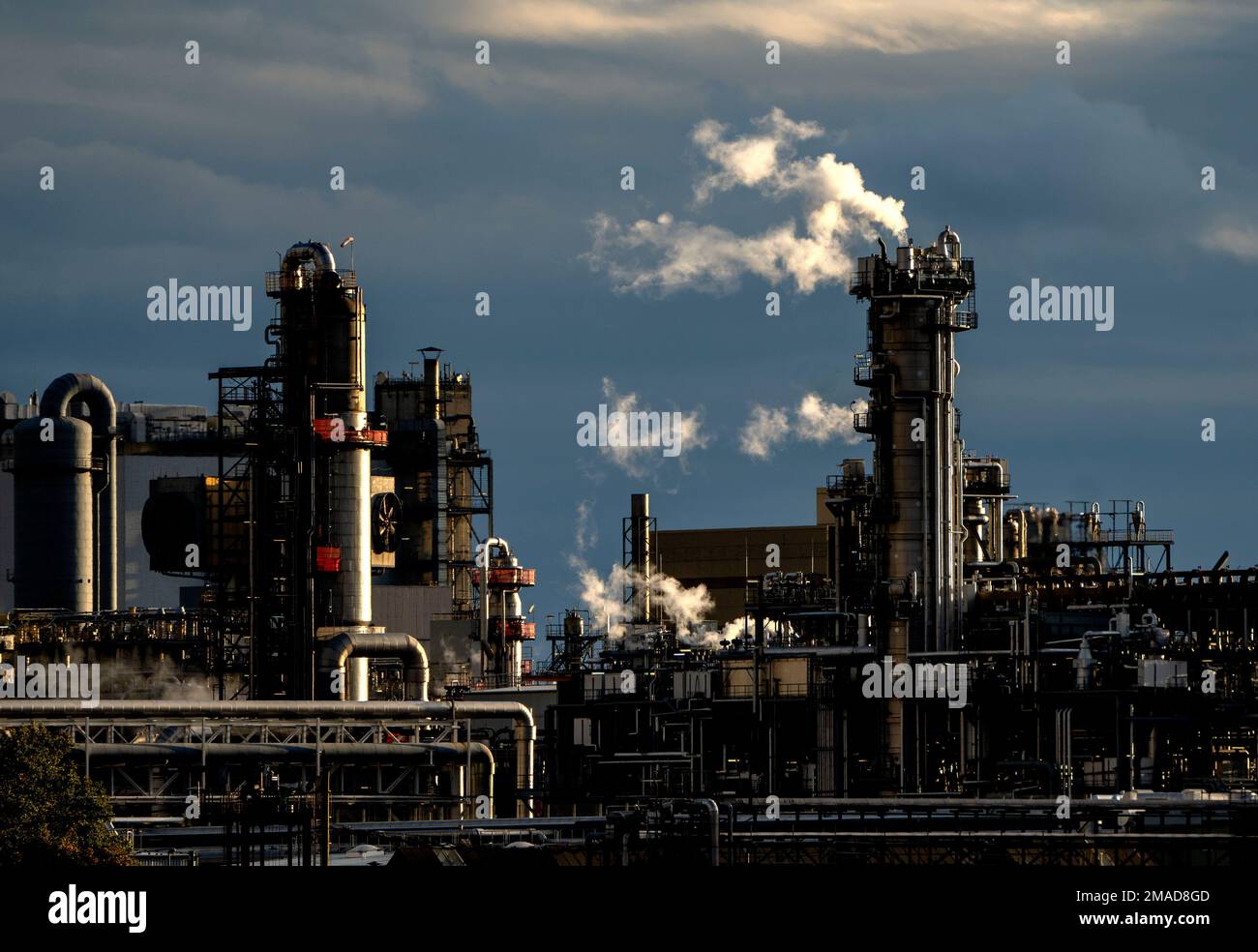 Chimneys are pictured on the BASF chemical plant in Ludwigshafen ...