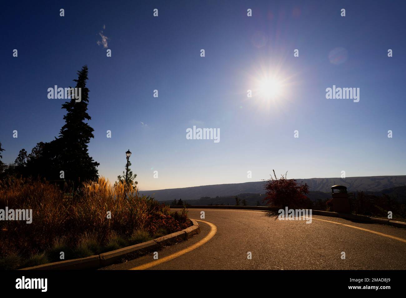 Sunshine in the road with Concept idea of the way and background ...