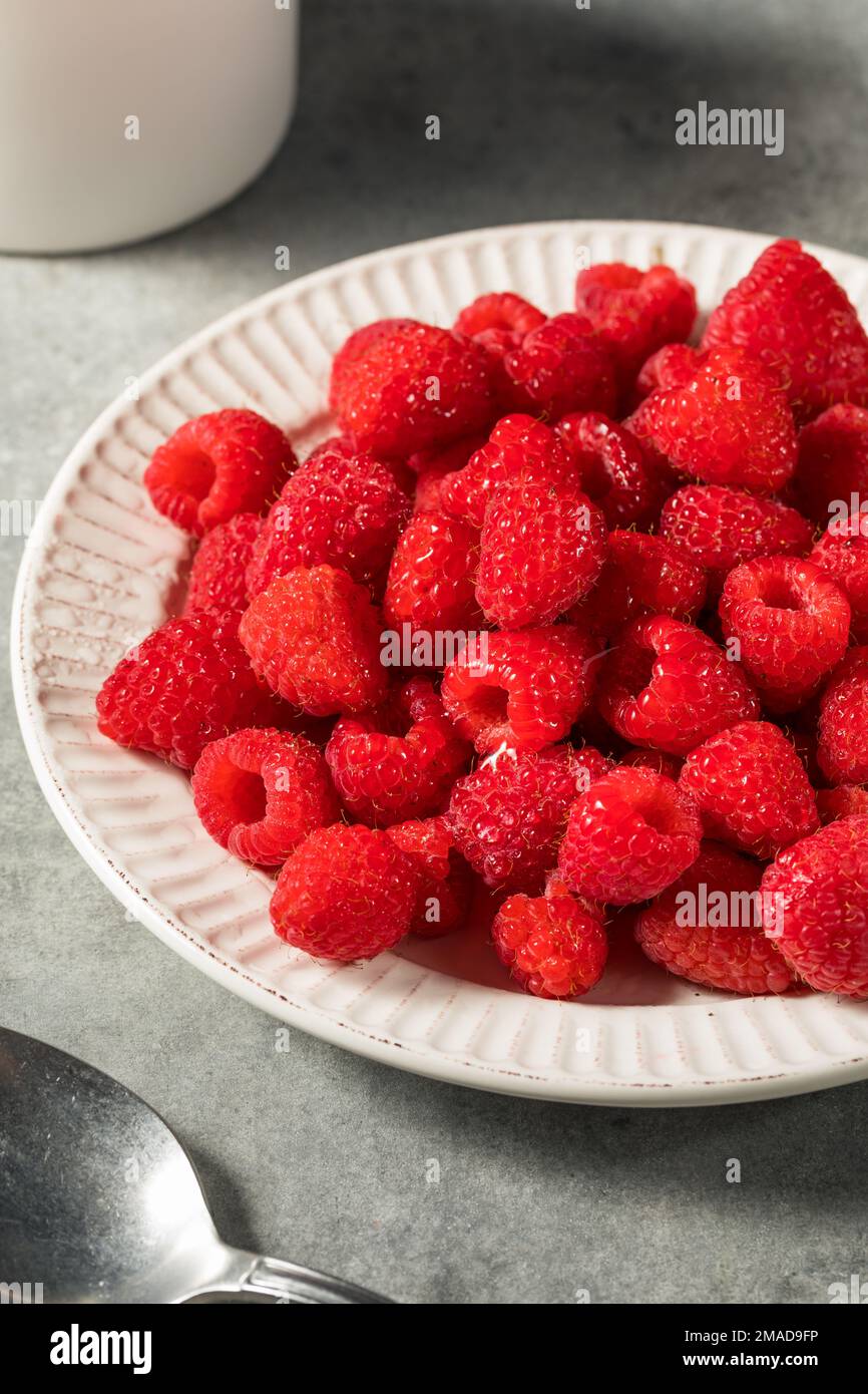 Raw Organic Red Raspberries Ready to Eat Stock Photo - Alamy