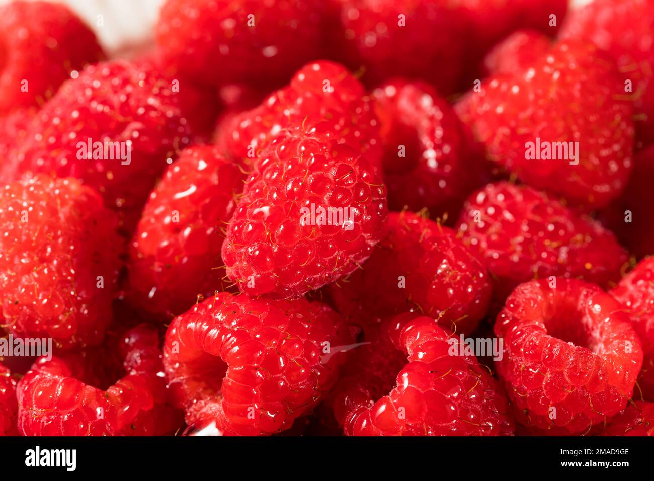 Raw Organic Red Raspberries Ready to Eat Stock Photo - Alamy