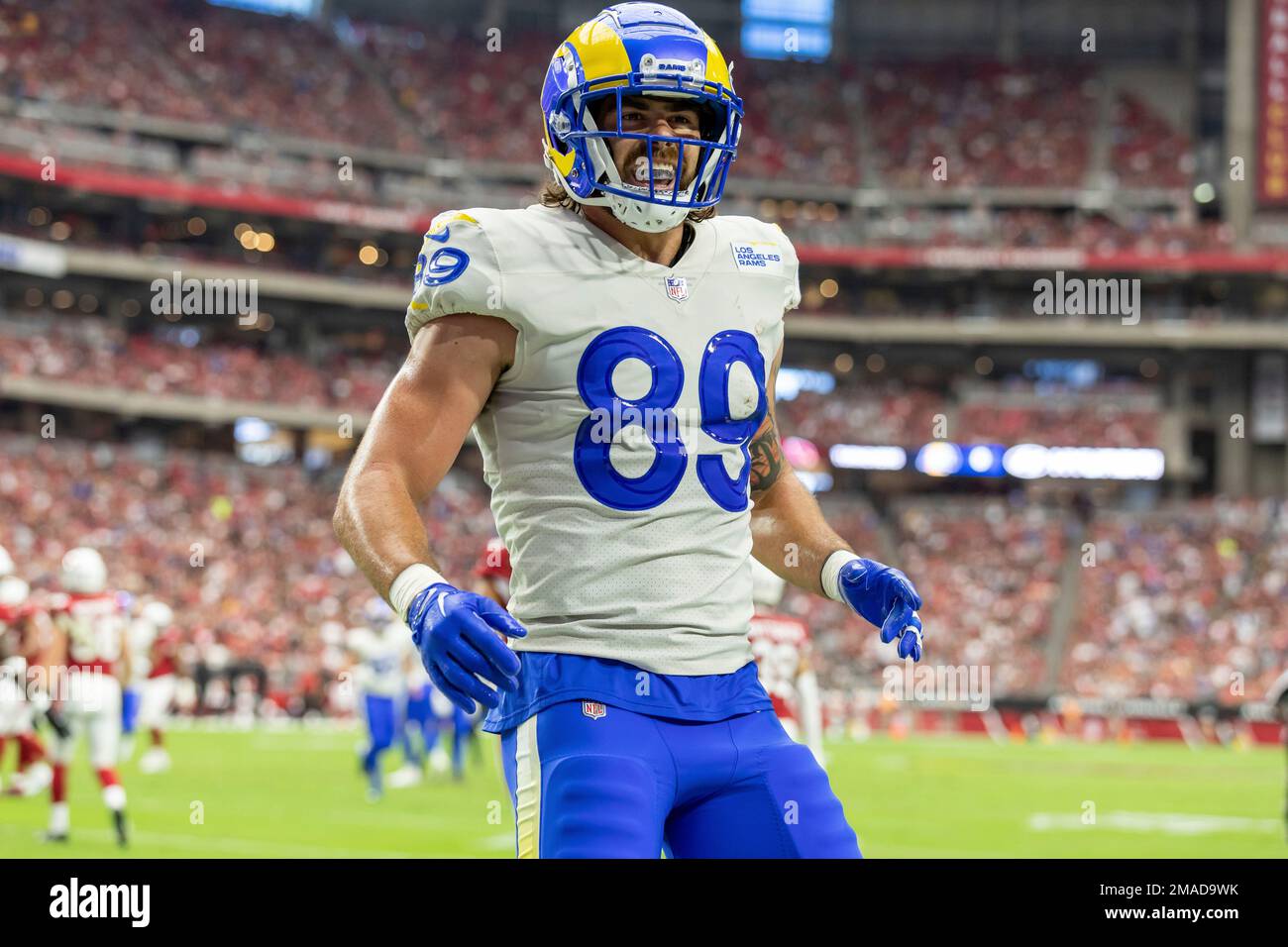 Tight end (89) Tyler Higbee of the Los Angeles Rams against the Arizona ...