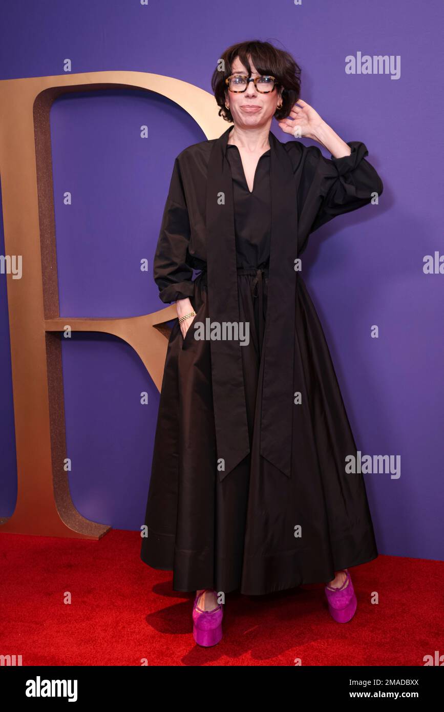Sally Hawkins poses for photographers upon arrival at the premiere of ...