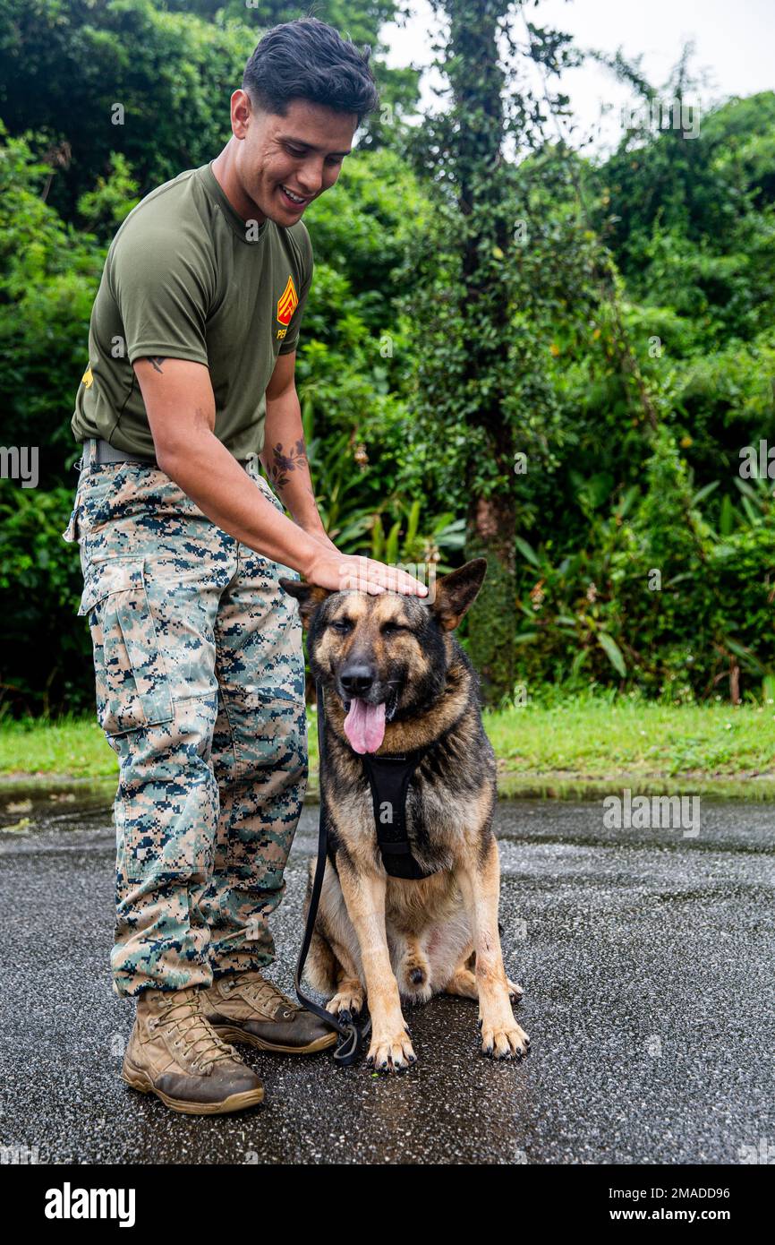 U.S. Marine Corps Cpl. Ivan Perez, a military working dog handler, pats ...