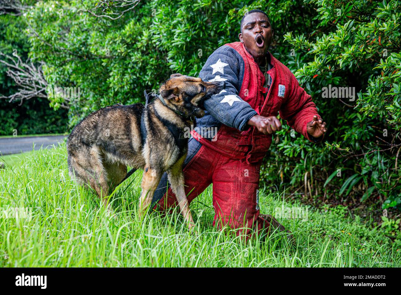 Jack smedley hi-res stock photography and images - Alamy