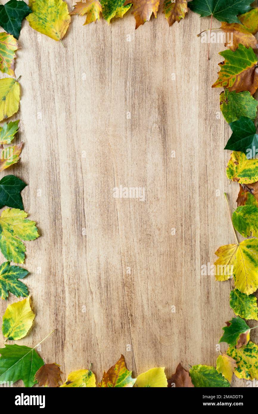 Thanksgiving background with autumn leaves on a light wooden table ...