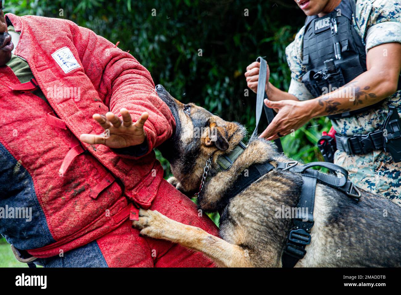 U.S. Marine Corps Cpl. Joshua Conley, left, a military working dog ...