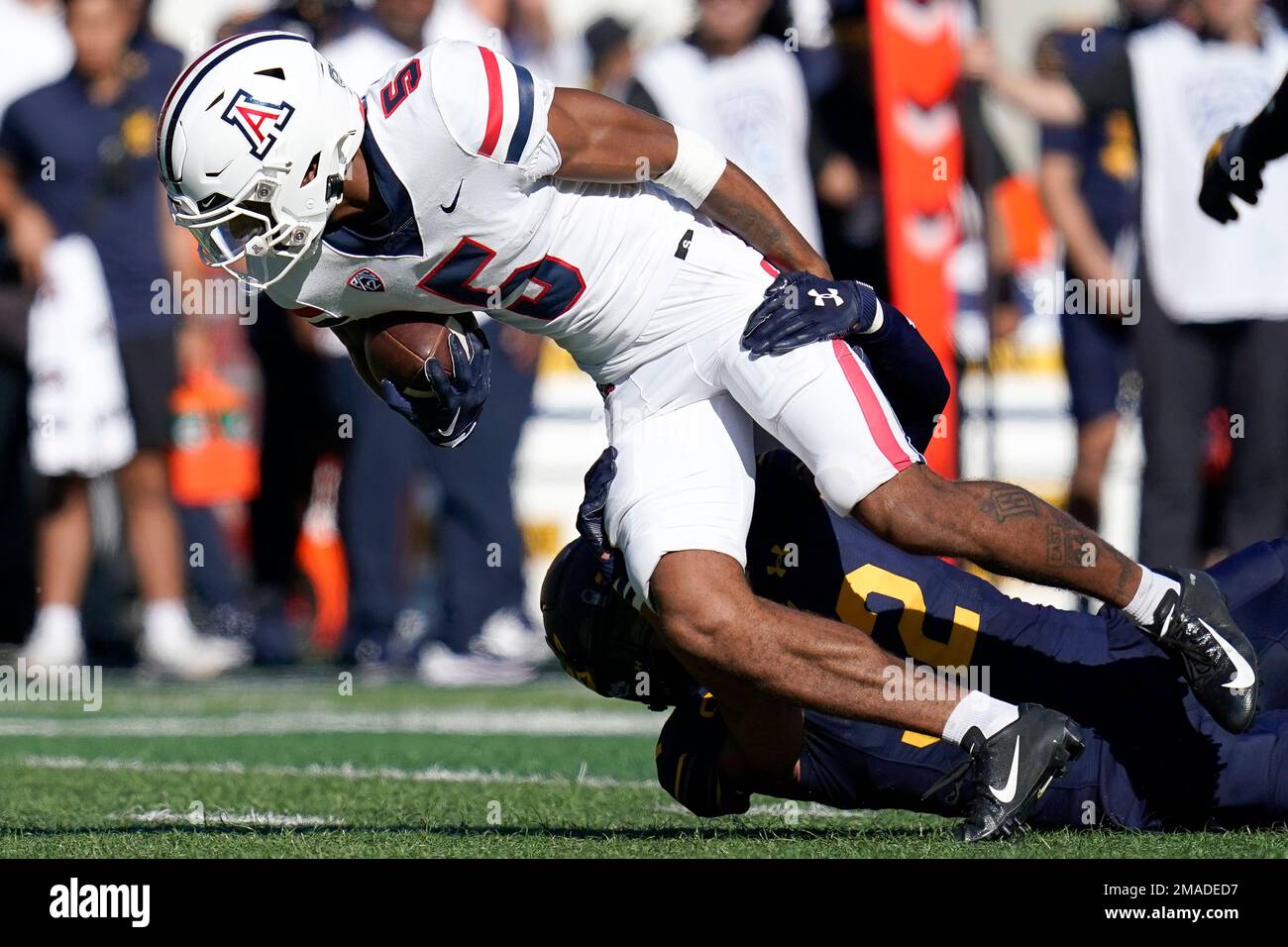 California safety Daniel Scott (32) tackles Arizona wide receiver ...