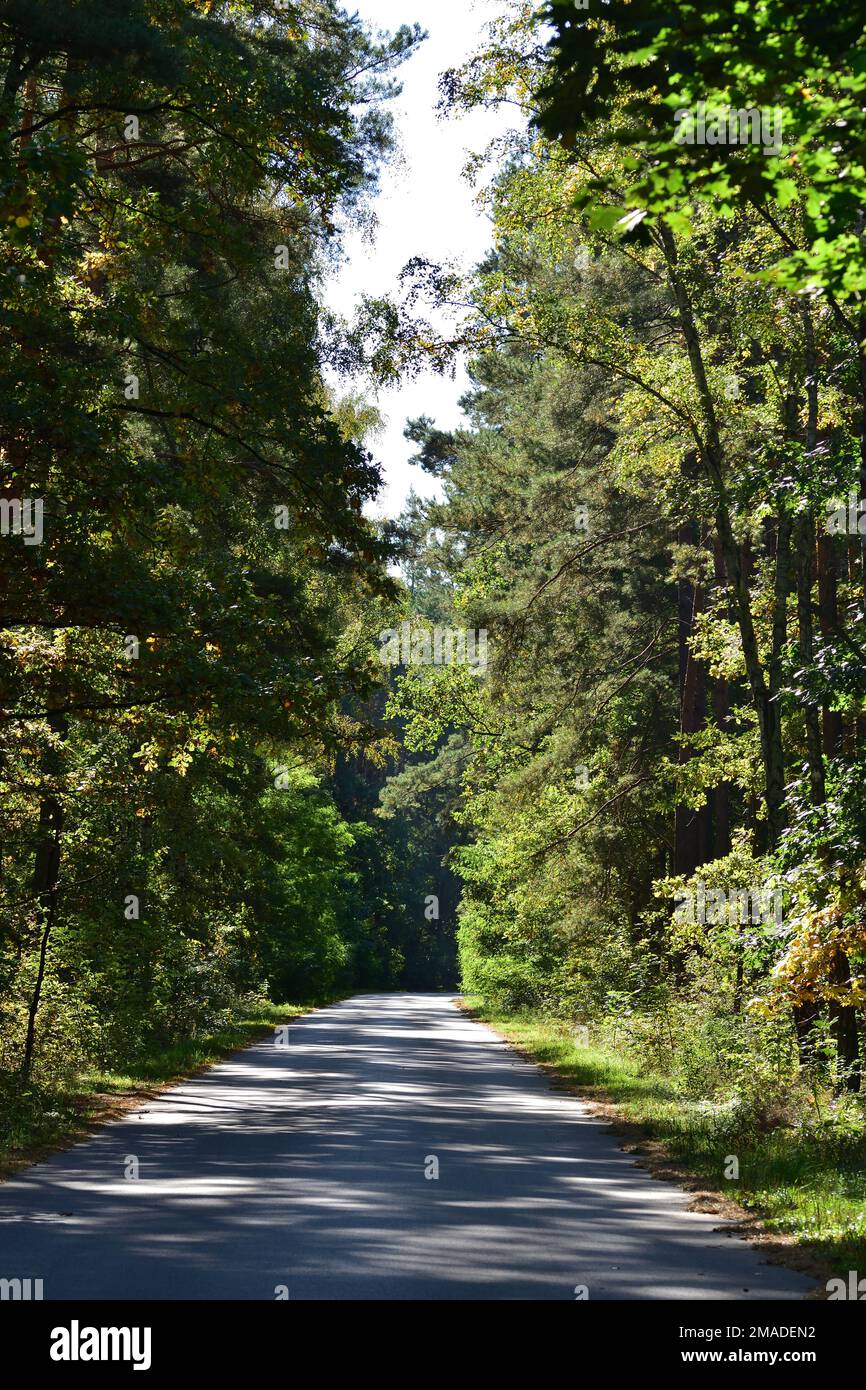 Street light unknown road hi-res stock photography and images - Alamy