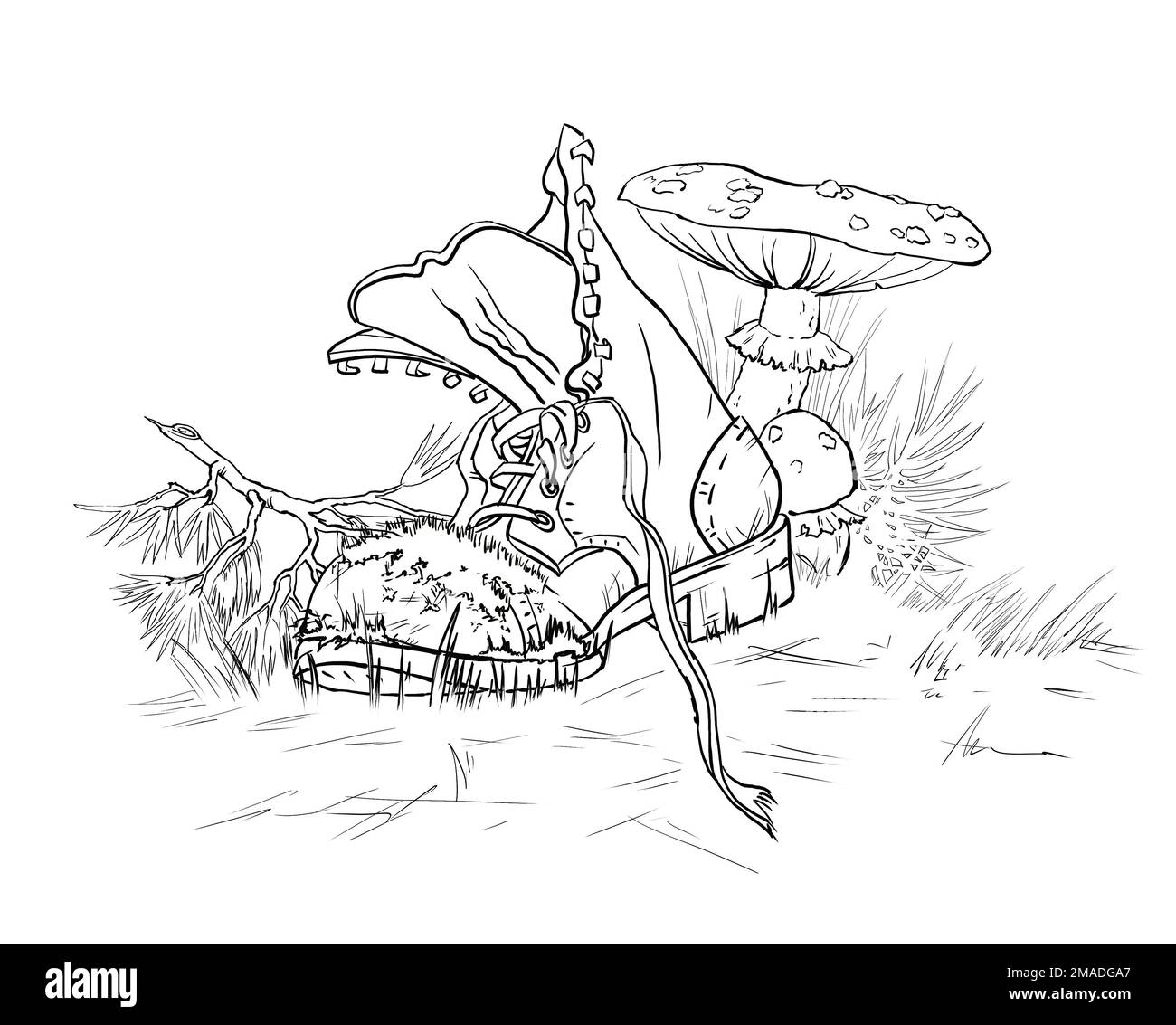 line drawing lost shoe in the forest. High quality illustration Stock ...