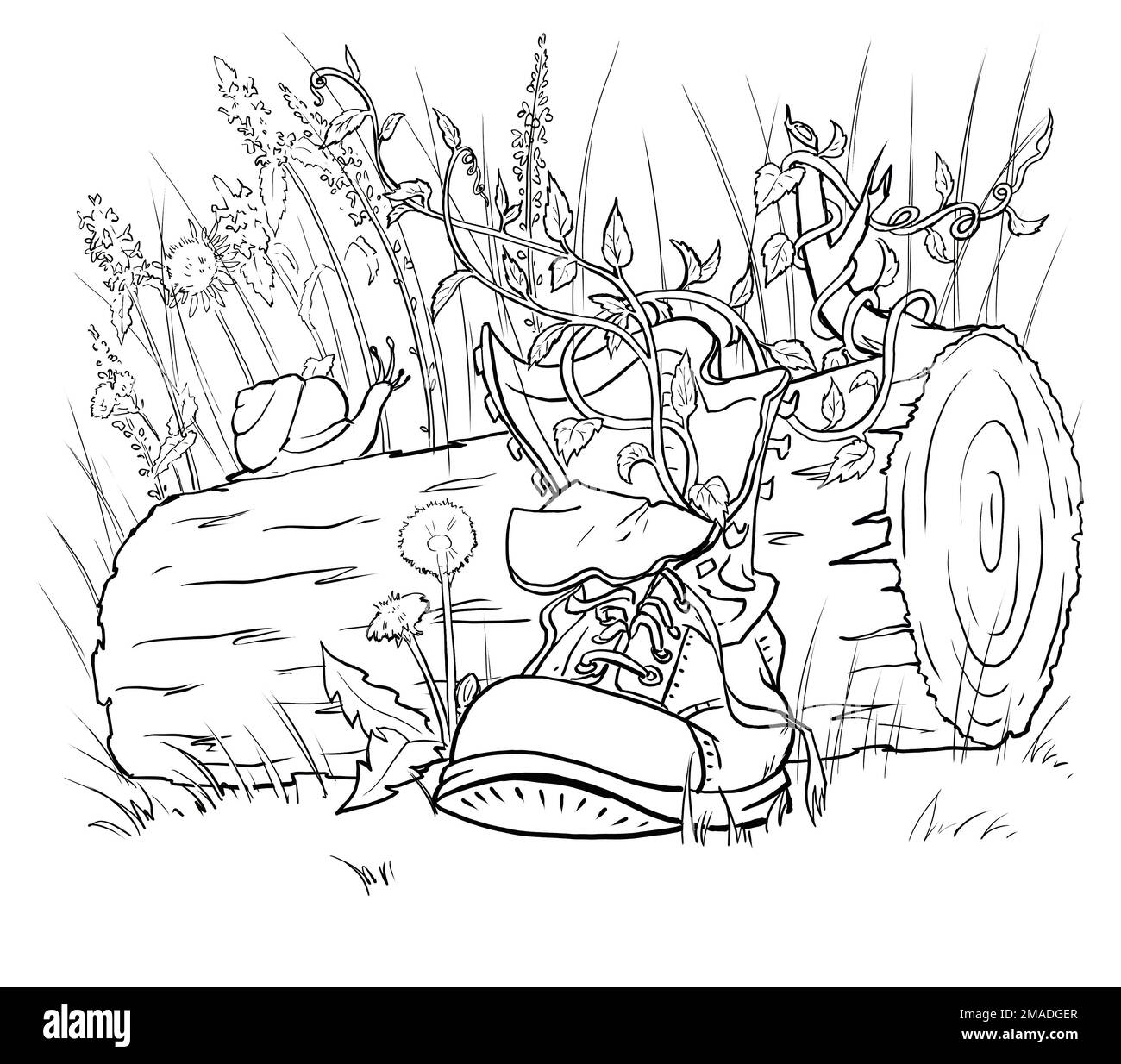 line drawing of a lost shoe. High quality illustration Stock Photo - Alamy