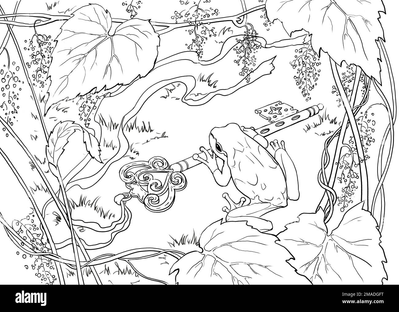 Linear drawing of a frog in nature. High quality illustration Stock ...