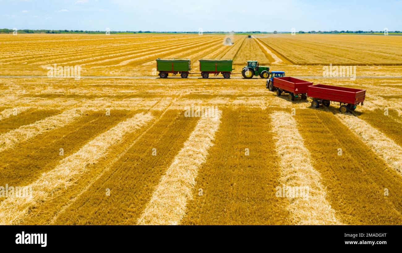 Aerial view on two tractors with two trailers each is moving to take ...