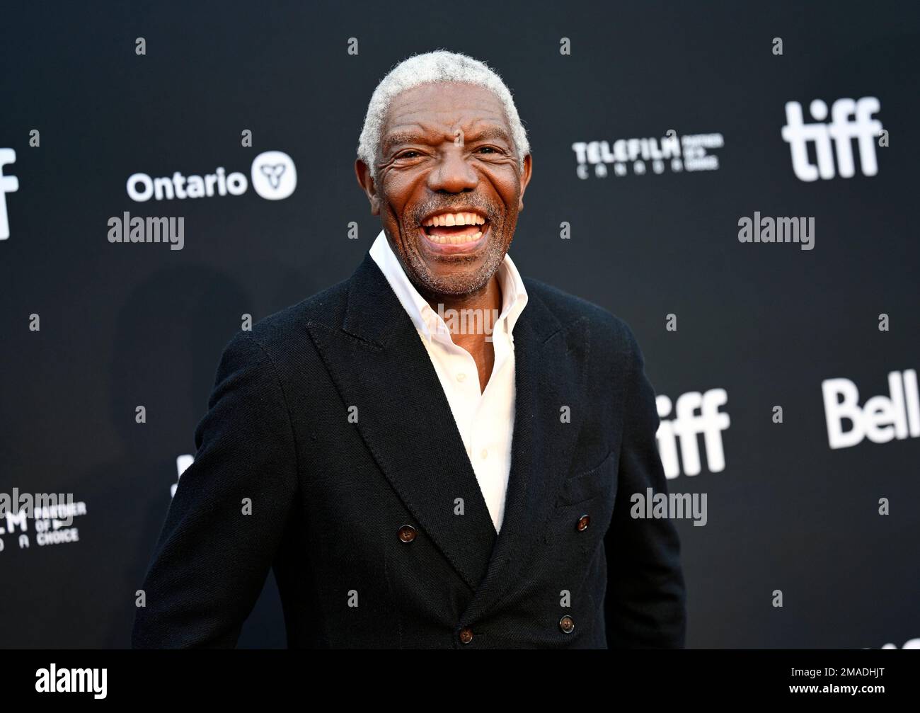 Vondie Curtis Hall attends the premiere of "Raymond & Ray" at Roy ...