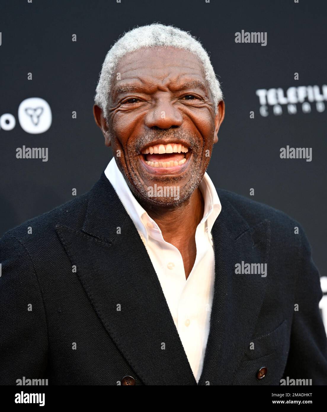 Vondie Curtis Hall attends the premiere of "Raymond & Ray" at Roy ...