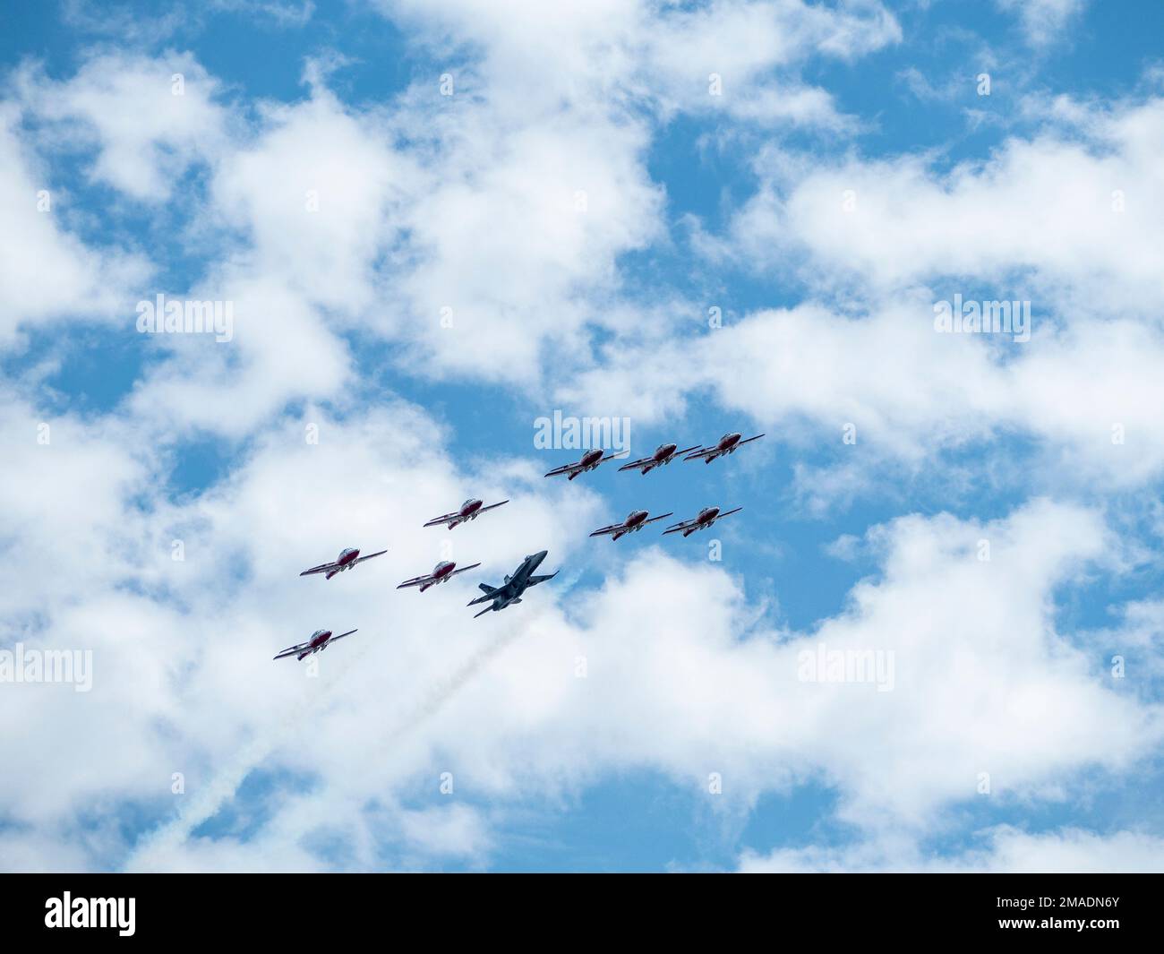 Snowbird jets with a CF fighter jet: A cluster of aerobatic snowbird ...
