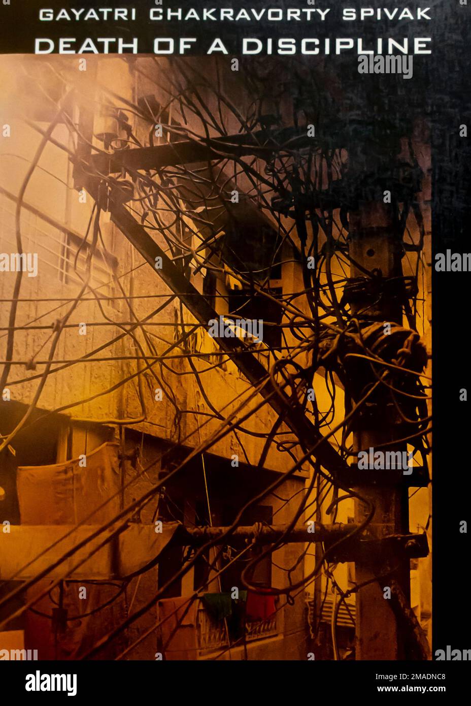 Gayatri chakravorty spivak hi-res stock photography and images - Alamy