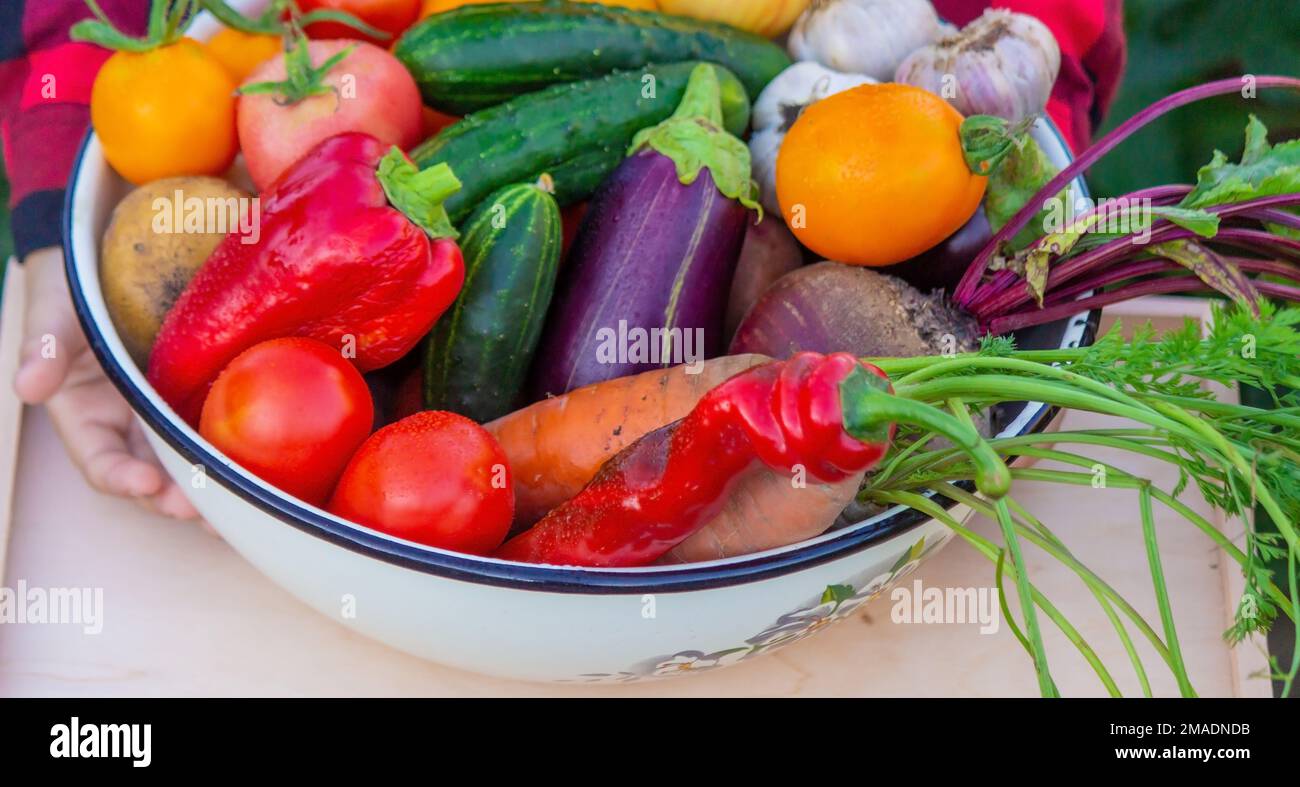 Child eat onion health hi-res stock photography and images - Alamy