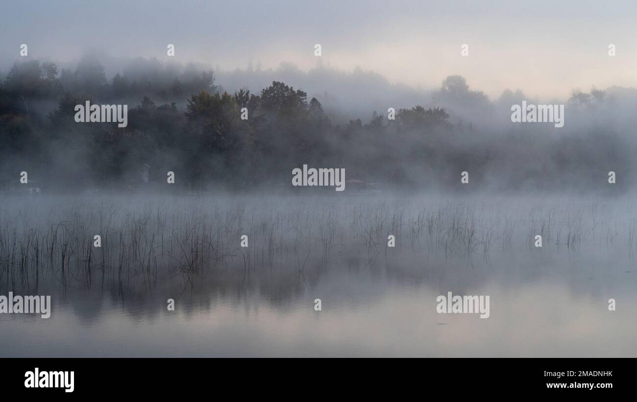 Misty Lake at Dawn: Mist rises off the calm surface of a Quebec lake ...