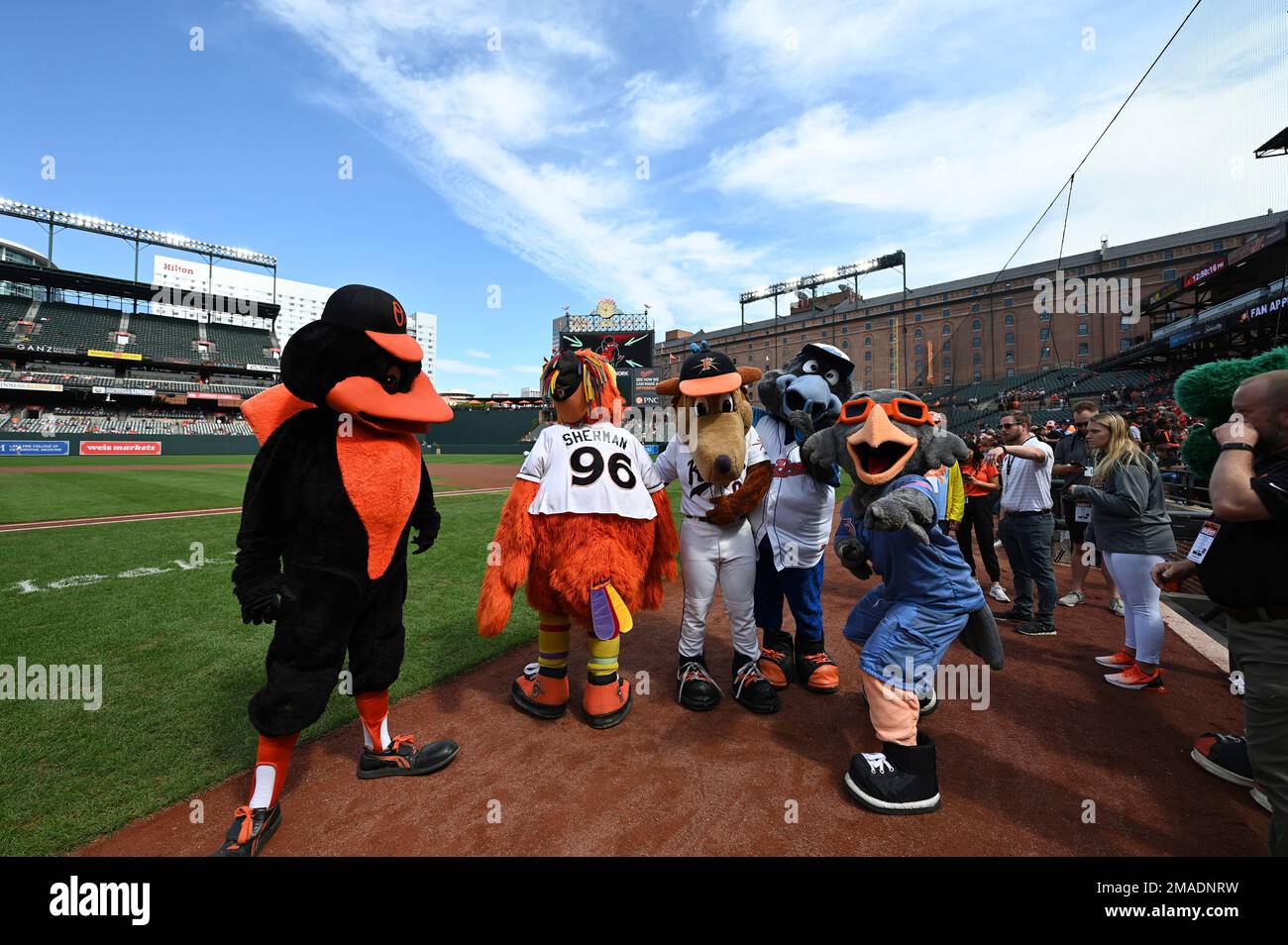 A variety of mascots stand on the field with the Oriole Bird before a ...