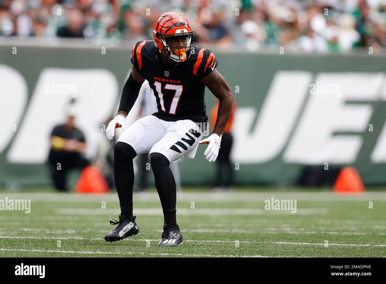 Cincinnati Bengals wide receiver Stanley Morgan (17) in action during ...