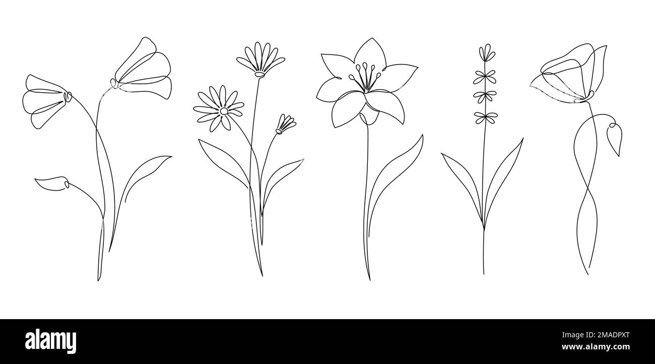 Flower set continuous outline style. Decoration flower, botanical ...