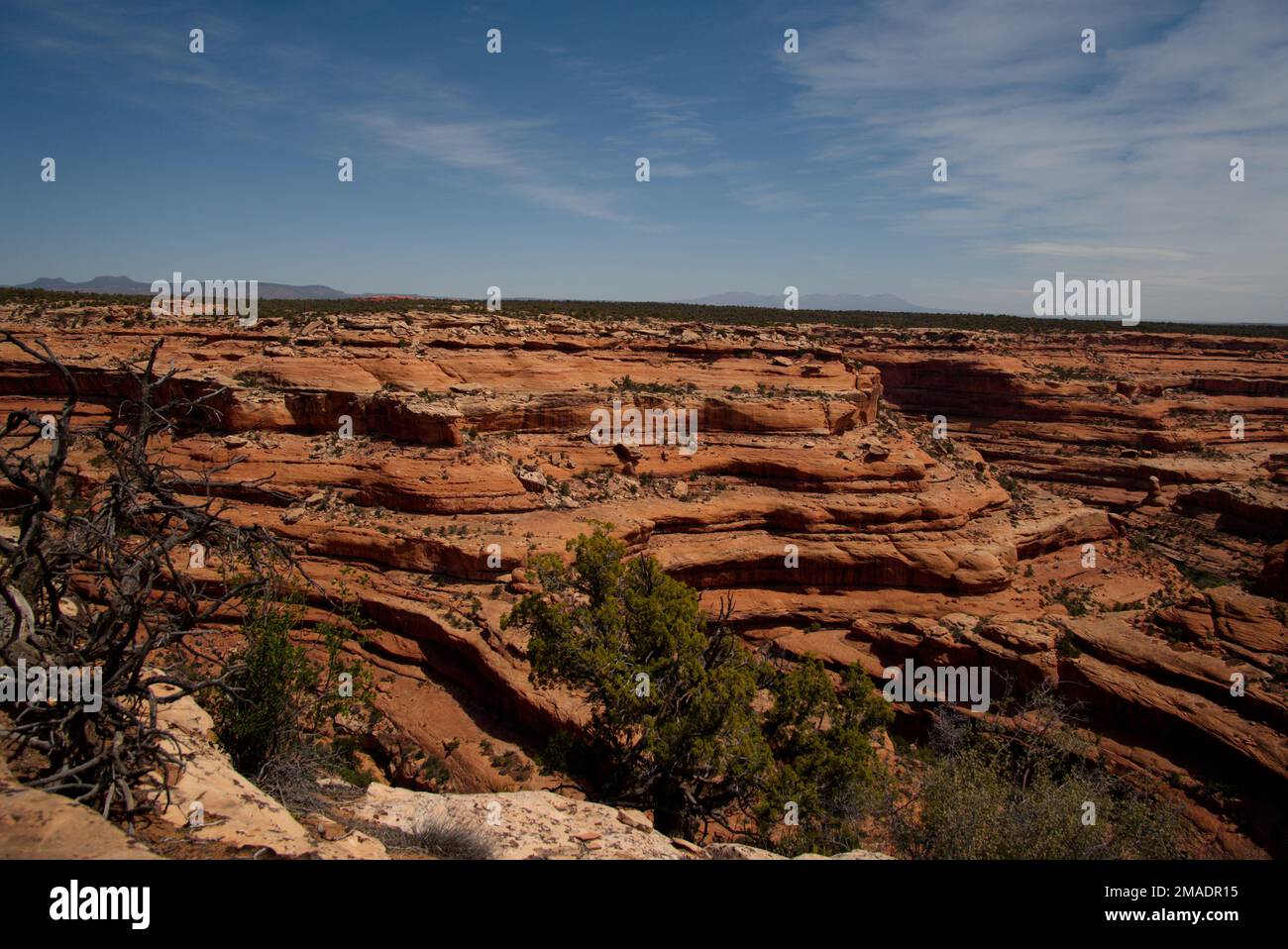 View across Road Canyon in Bears Ears National Monument, Utah Stock ...