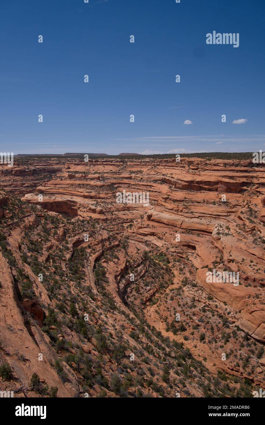 View across Road Canyon in Bears Ears National Monument, Utah Stock ...