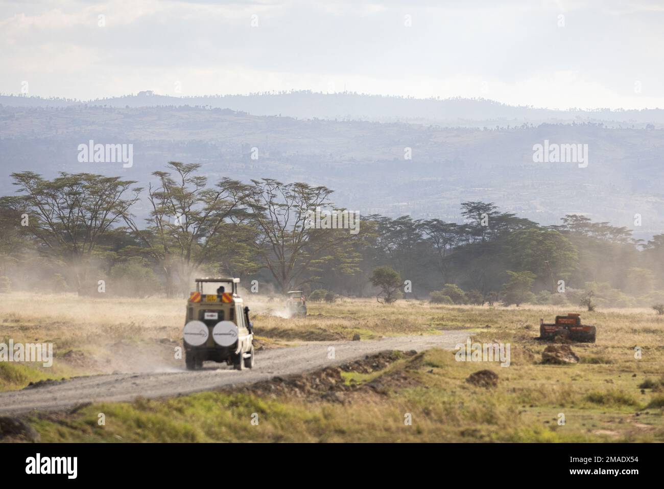 Jeep makes its way down safari road Stock Photo - Alamy