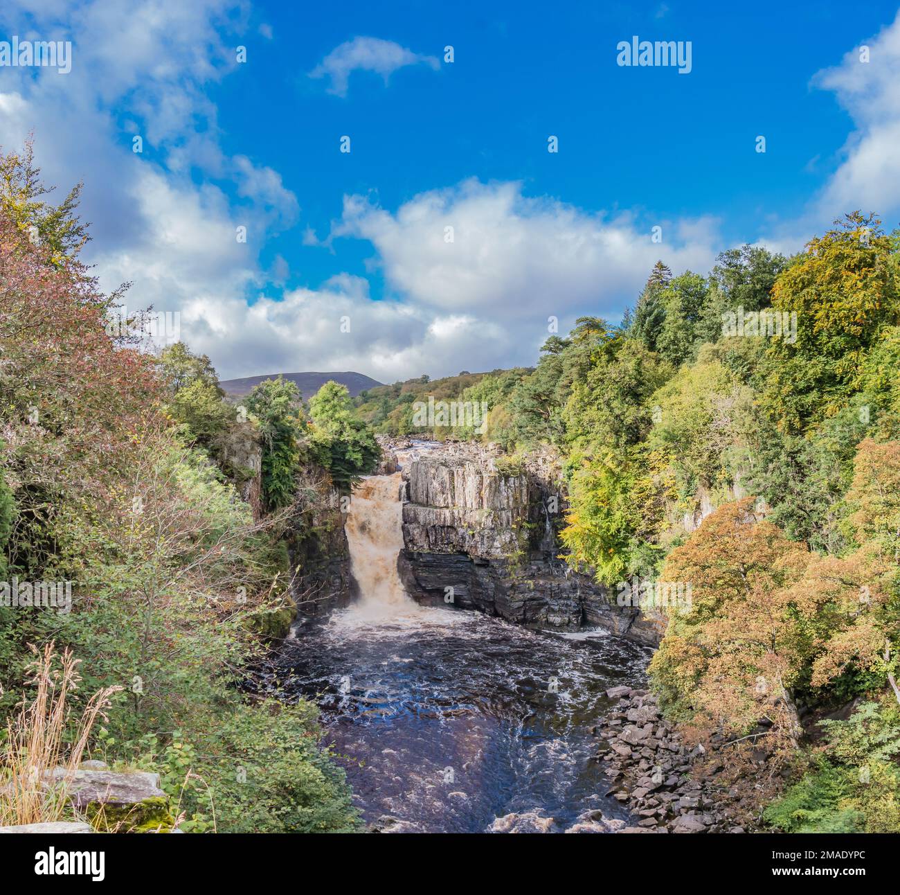 Autumn colours forming in the wooded riverbanks at High Force. Taken ...