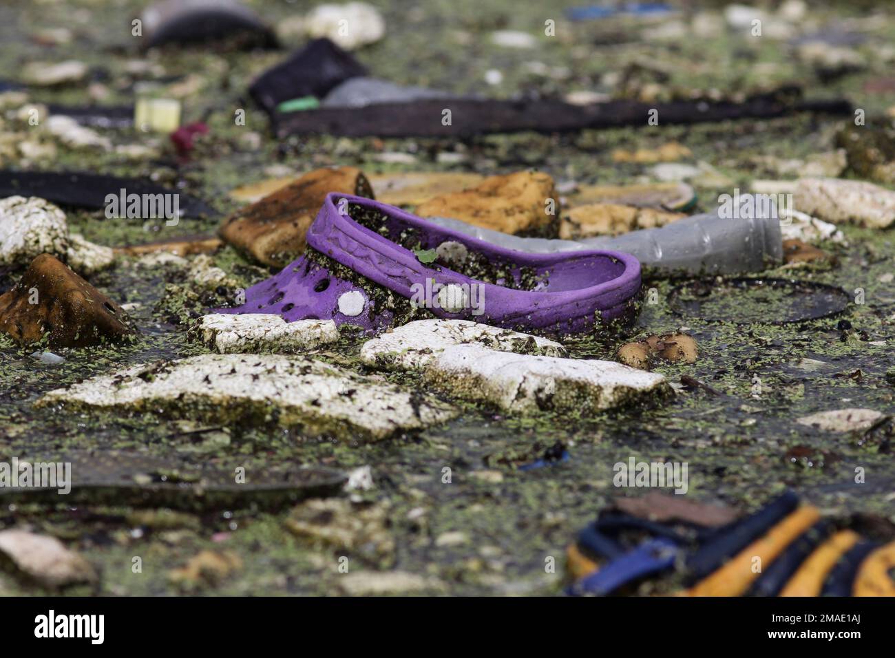 Garbage floats on the basin of the Cerron Grande hydroelectric dam near ...