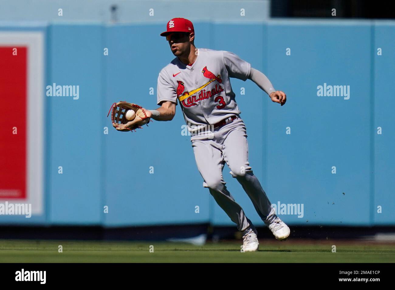 St. Louis Cardinals' Dylan Carlson catches a single hit by Los Angeles ...