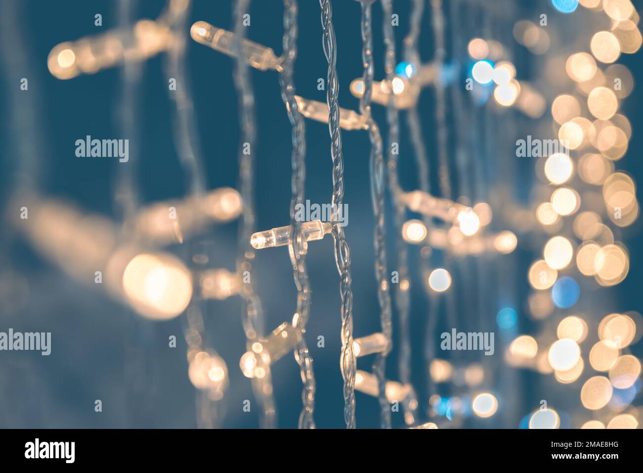 Navy blue color blurred background with shiny gold garland lights ...