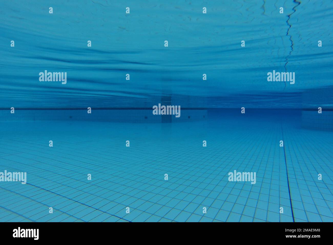 Rottweil, Germany. 08th Apr, 2019. Underwater shot in a pool of the ...