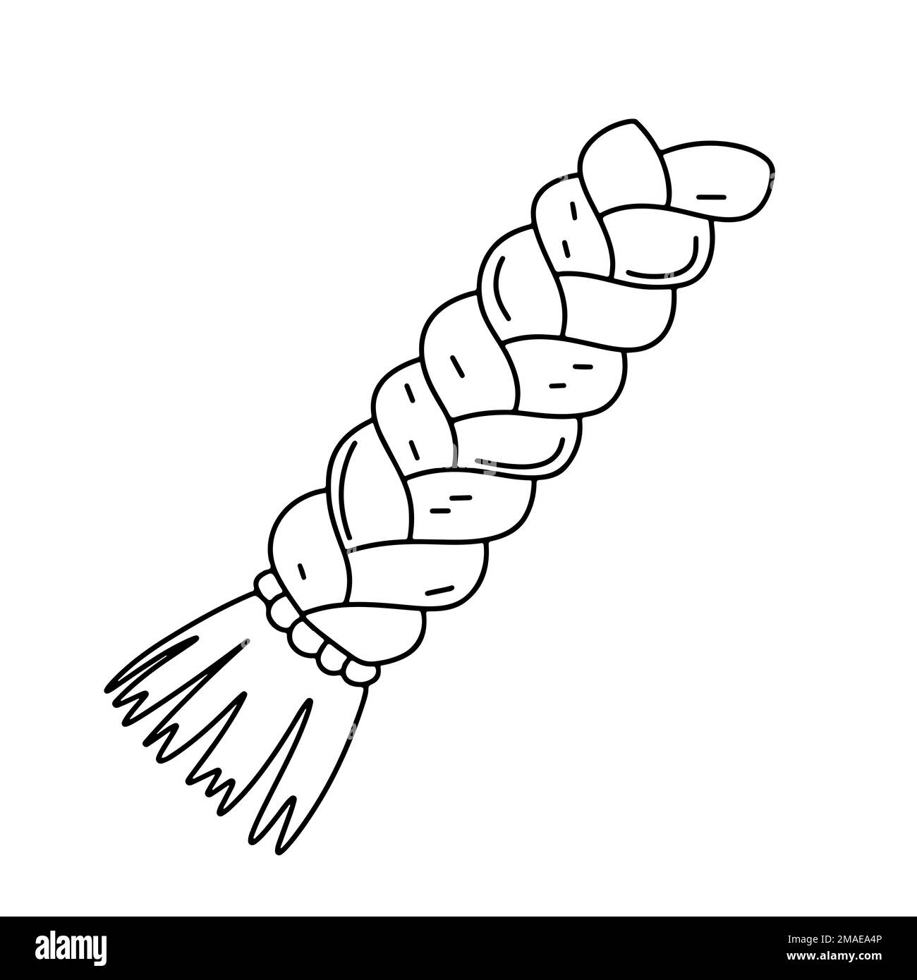 A braid of hair in hand drawn doodle style. Vector illustration ...